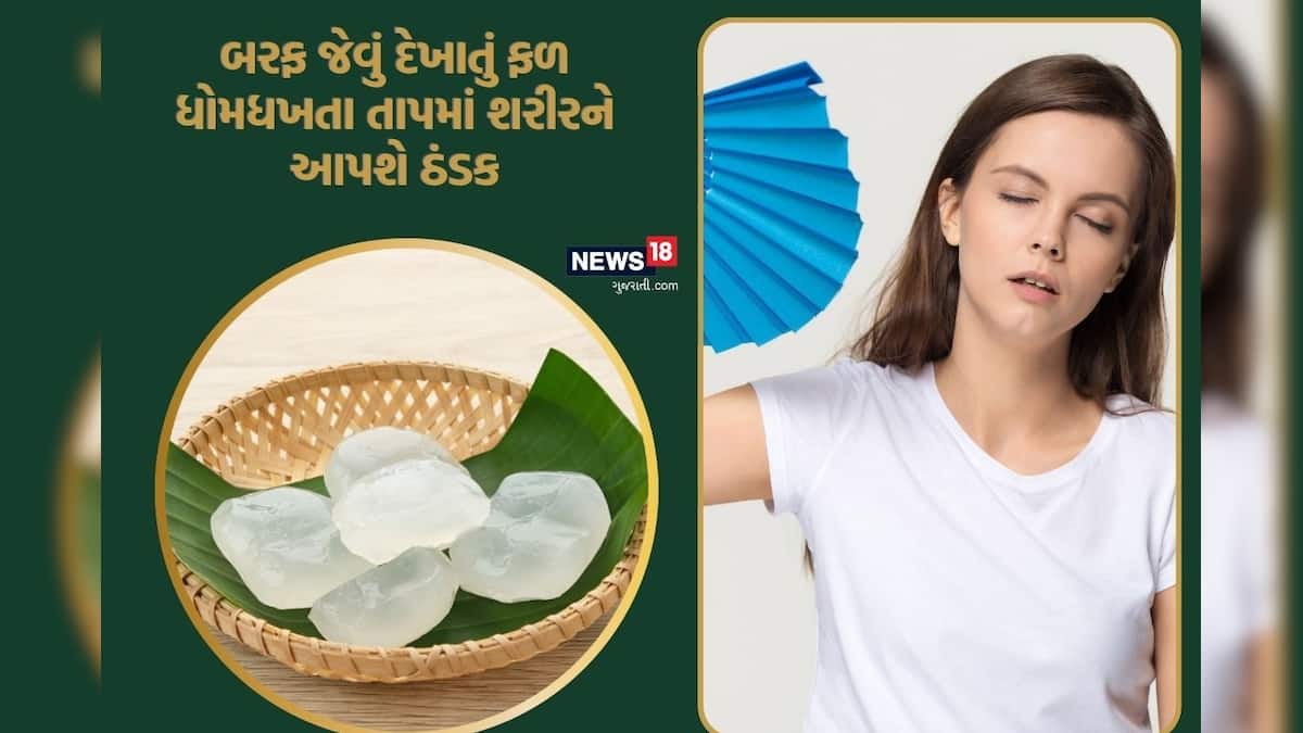 Health benefits of Ice apples tadgola- દેખાવે બરફ જેવું આ ફળ ઉનાળાની ...