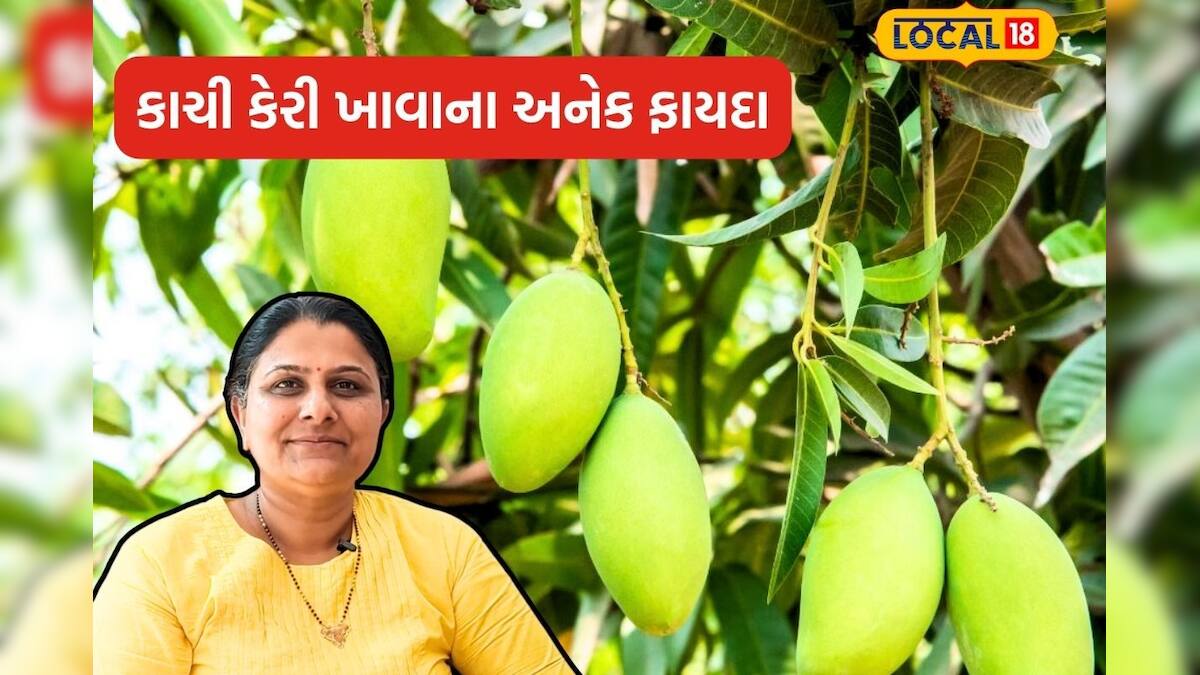 ફળોના રાજા: પાકી નહીં કાચી કેરી પણ ખૂબ ઉપયોગી, તેની છાલ, ગોટલી અને ...