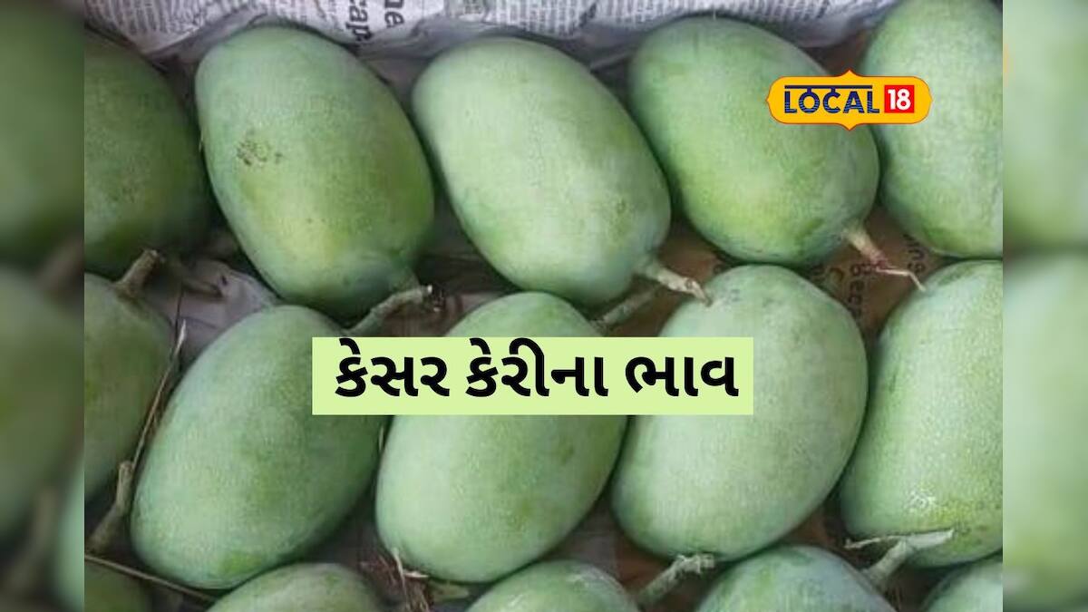 પોરબંદરમાં કેસર કેરીની બમ્પર આવક - kesar keri bumper income in Porbandar