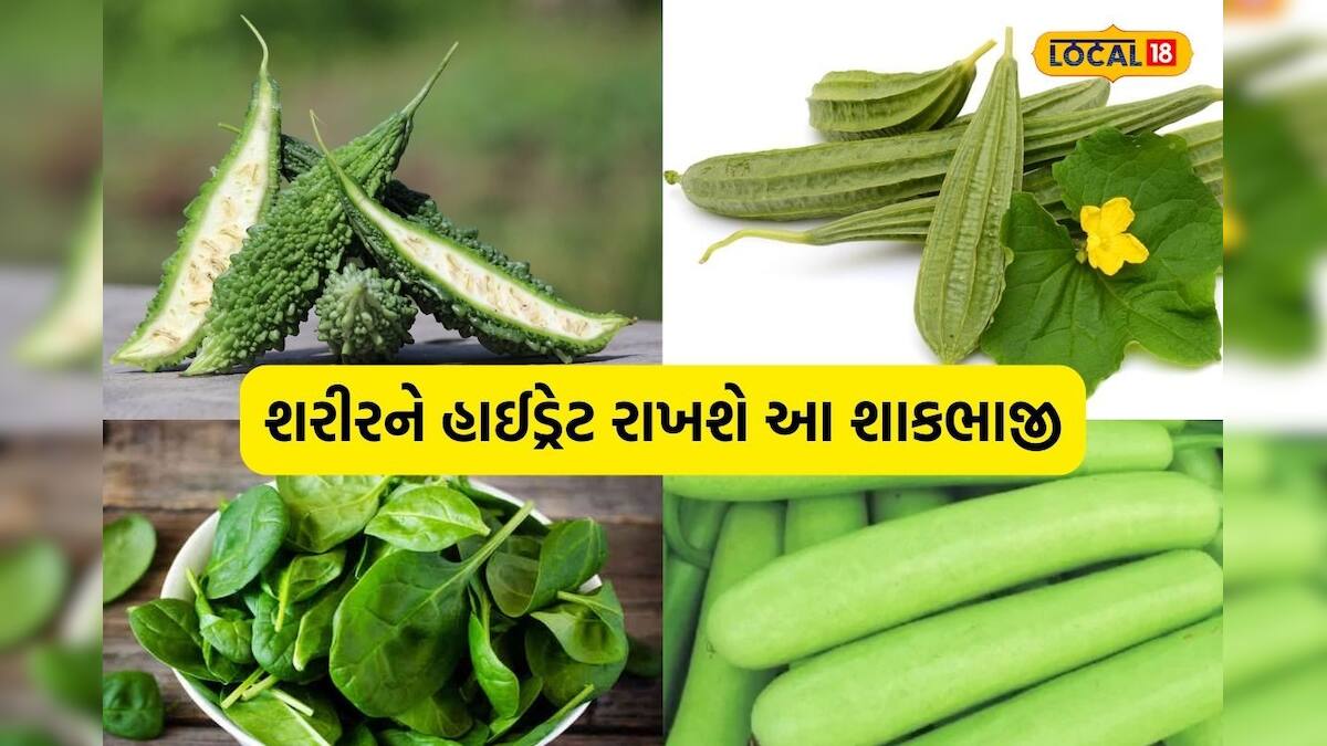 ગરમીથી રાહત આપશે આ 5 શાકભાજી, હીટ સ્ટ્રોકથી કરશે તમારૂં રક્ષણ, શરીરને ...