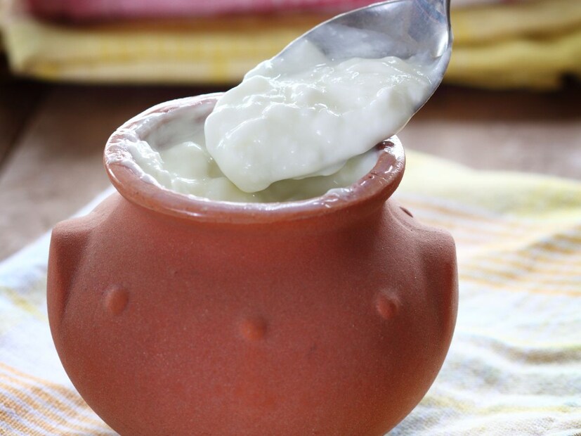 How to set dahi without jaman with chilli - Curd: મેળવણ વિના ઘરે જમાવો ...