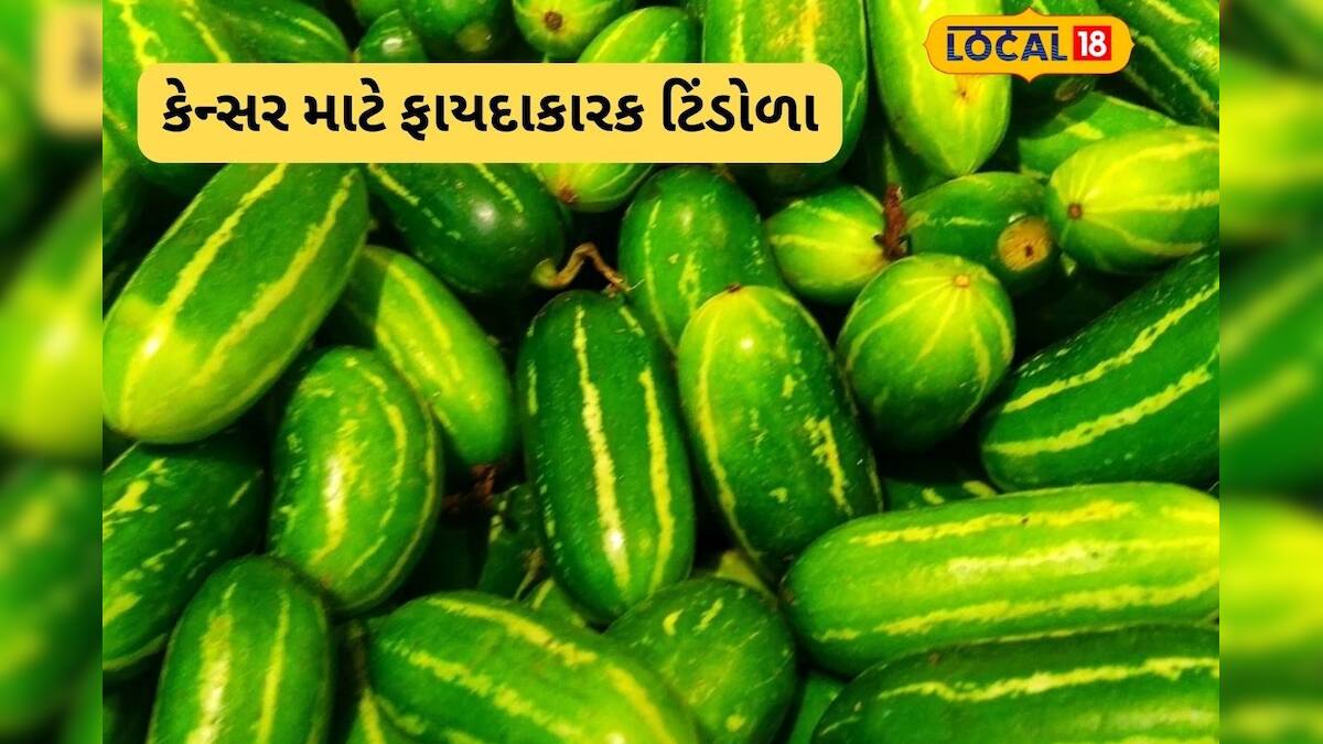 એન્ટીબેક્ટેરિયલ ગુણોથી ભરપૂર હોય છે પરવલ જેવી દેખાતી આ શાકભાજી, વજન પણ ...
