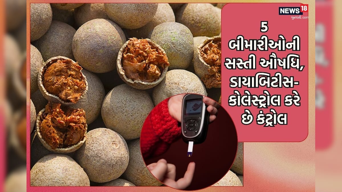 Kaitha fruit is effective in reducing cholesterol - 5 બીમારીઓનો કાળ છે ...