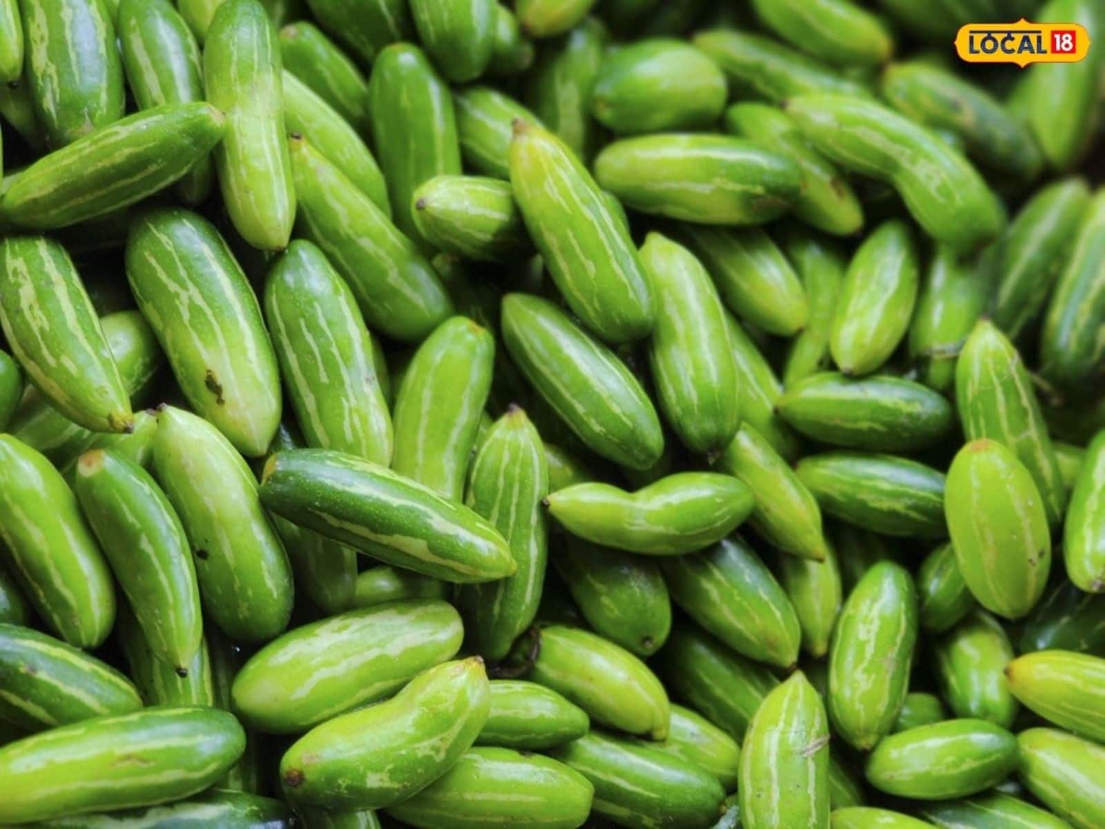 એન્ટીબેક્ટેરિયલ ગુણોથી ભરપૂર હોય છે પરવલ જેવી દેખાતી આ શાકભાજી, વજન પણ ...