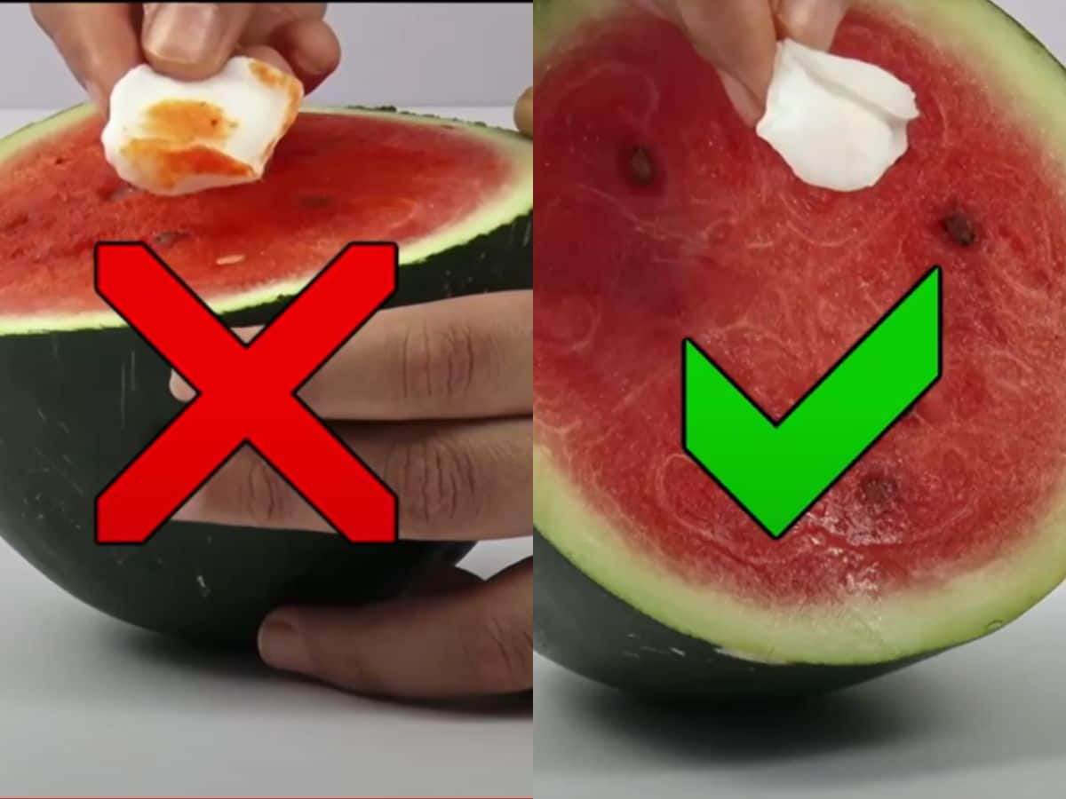 How To Check Adulteration in Watermelon - તમે કેમિકલવાળુ તરબૂચ તો નથી ખાઇ રહ્યાં ને! આ ટ્રિકથી ...