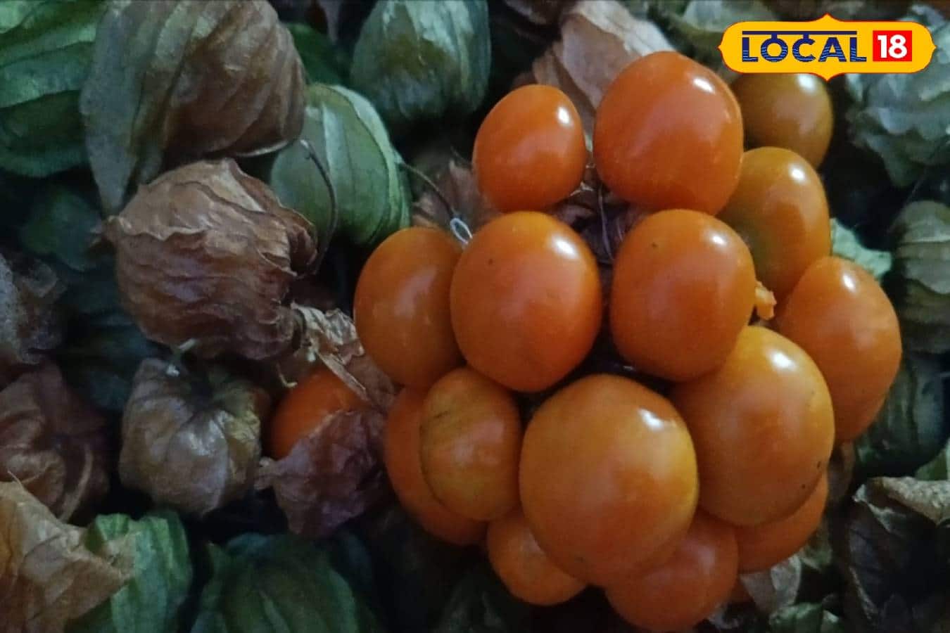 ડાયબીટિસ અને પાઈલ્સનો ઈલાજ છે આ ફળ, સફેદ ડાઘ કરશે દૂર - makoy this ...