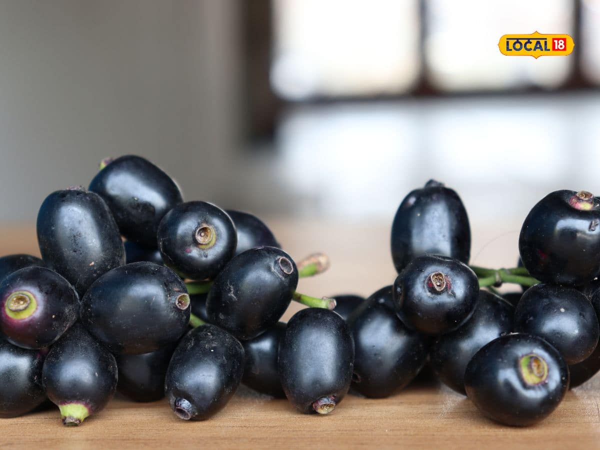 જાંબુ ખાવાના ફાયદા અંગે જાણો નિષ્ણાંત પાસેથી જાણીએ - Learn about the ...