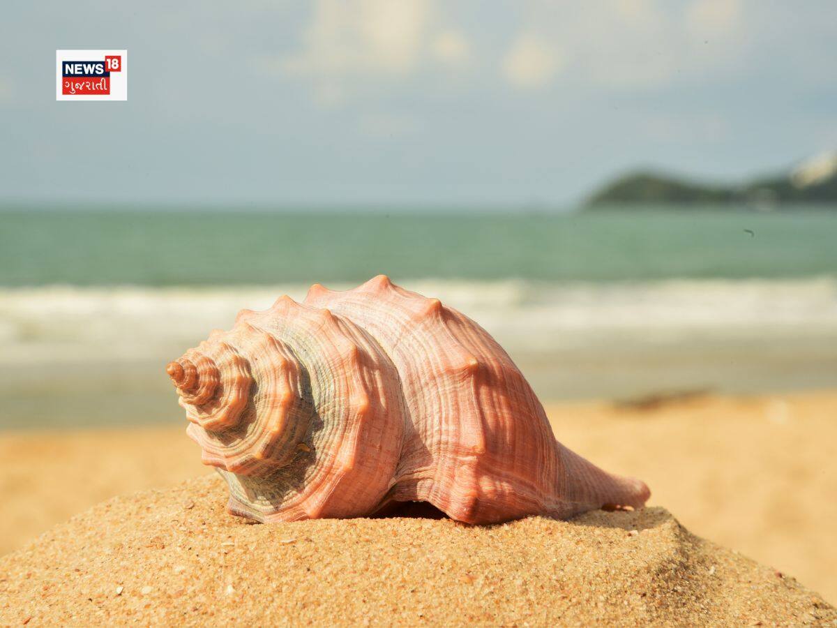 vastu tips to keep conch in right direction - શંખને આ જગ્યાએ રાખવાથી ...