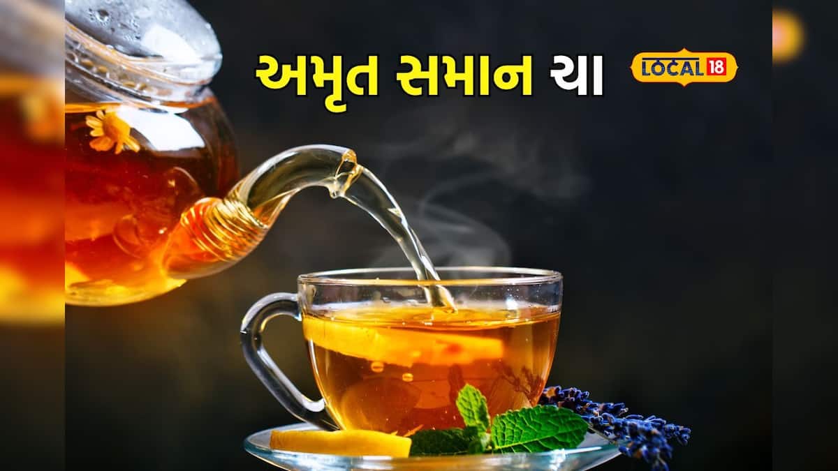 અમૃત! બદલતી ઋતુમાં ઉધરસ અને શરદીને કરશે દૂર, જાણો આ અનોખી ચા ઘરે કેવી ...