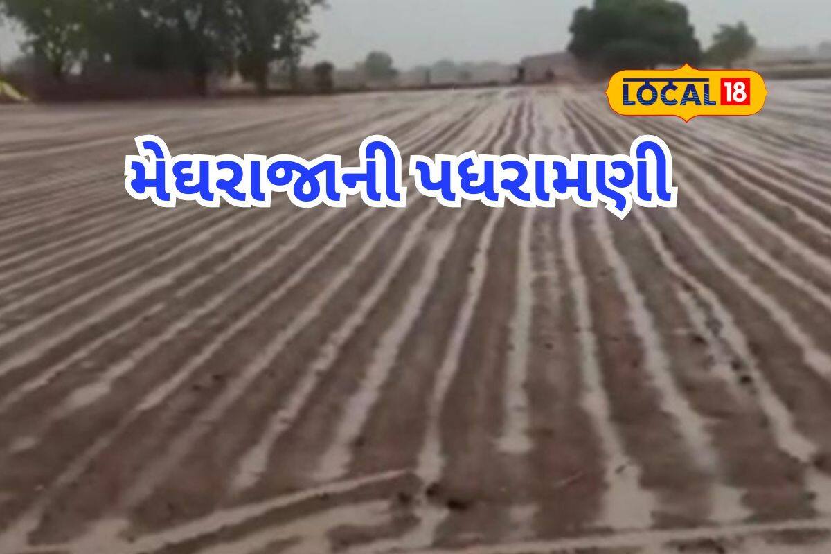 monsoon 2024: અમરેલીમાં ભારે વરસાદની આગાહી - Heavy rain forecast in Amreli - News18 ગુજરાતી