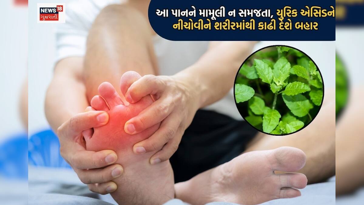 benefits of eating Tulsi leaves on empty stomach for uric acid - યુરિક ...