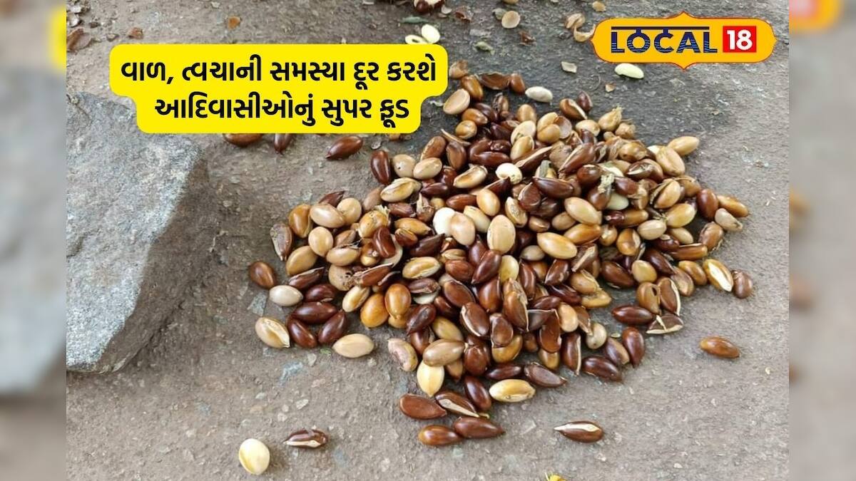 આદિવાસીઓનું સુપર ફૂડ છે આ બીજ, સાંધાના દુખાવો, સહિતની અનેક સમસ્યાનો ...