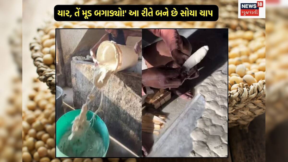 સોયા ચાપને ફેક્ટરીમાં બનતા જોઈને ખાવાનું ભૂલી જશો - how soya chaap made ...