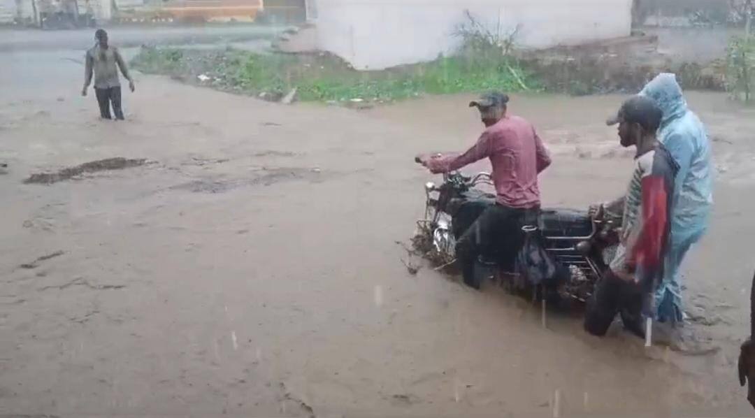 અમરેલી જિલ્લામાં ચાર ઇંચ વરસાદ - Four inches of rain in Amreli district - News18 ગુજરાતી
