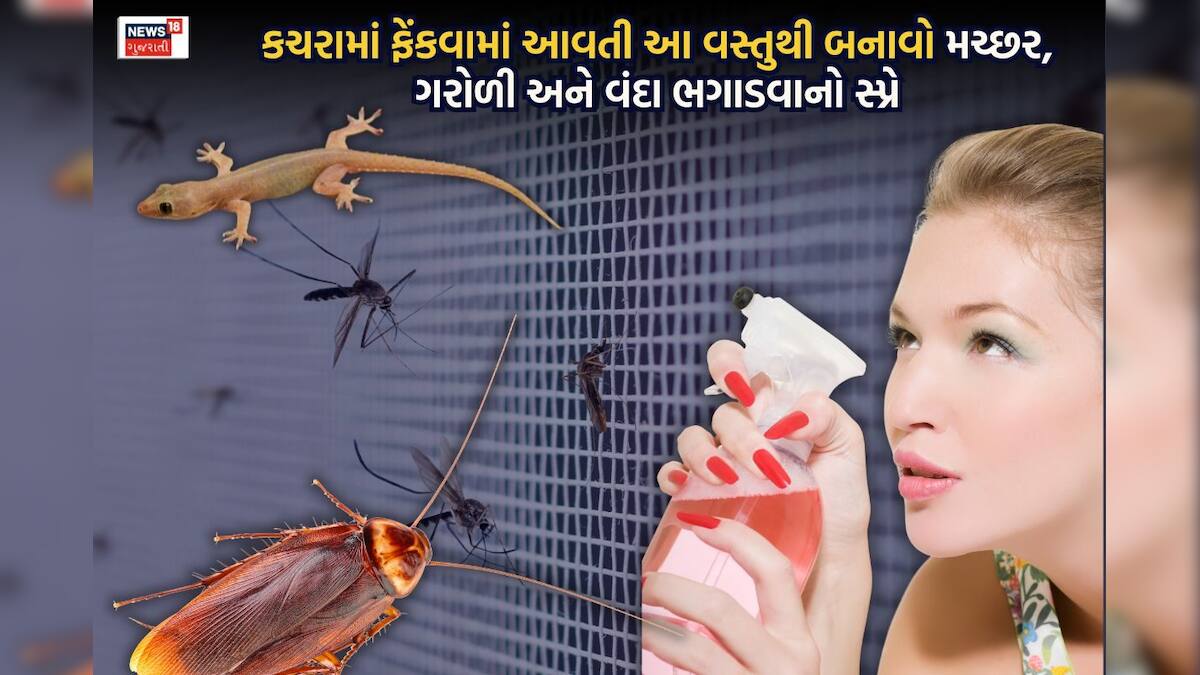 how to get rid of lizard cockroach and mosquito- ઘરમાં એકપણ વંદા-ગરોળી ...