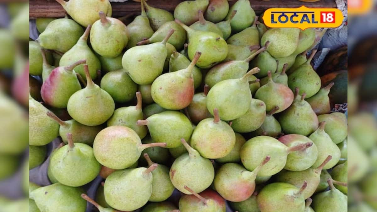 ચોમાસામાં મળતા આ ફળો સફરજન કરતાંય વધારે ગુણકારી, શરીરની નબળાઈ કરશે દૂર ...