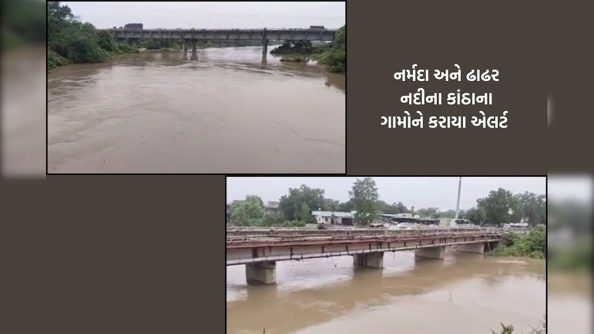 ઢાઢર નદીના 36 અને નર્મદા નદી કાંઠાના 25 ગામોને કરાયા એલર્ટ, સલામત સ્થળે ...