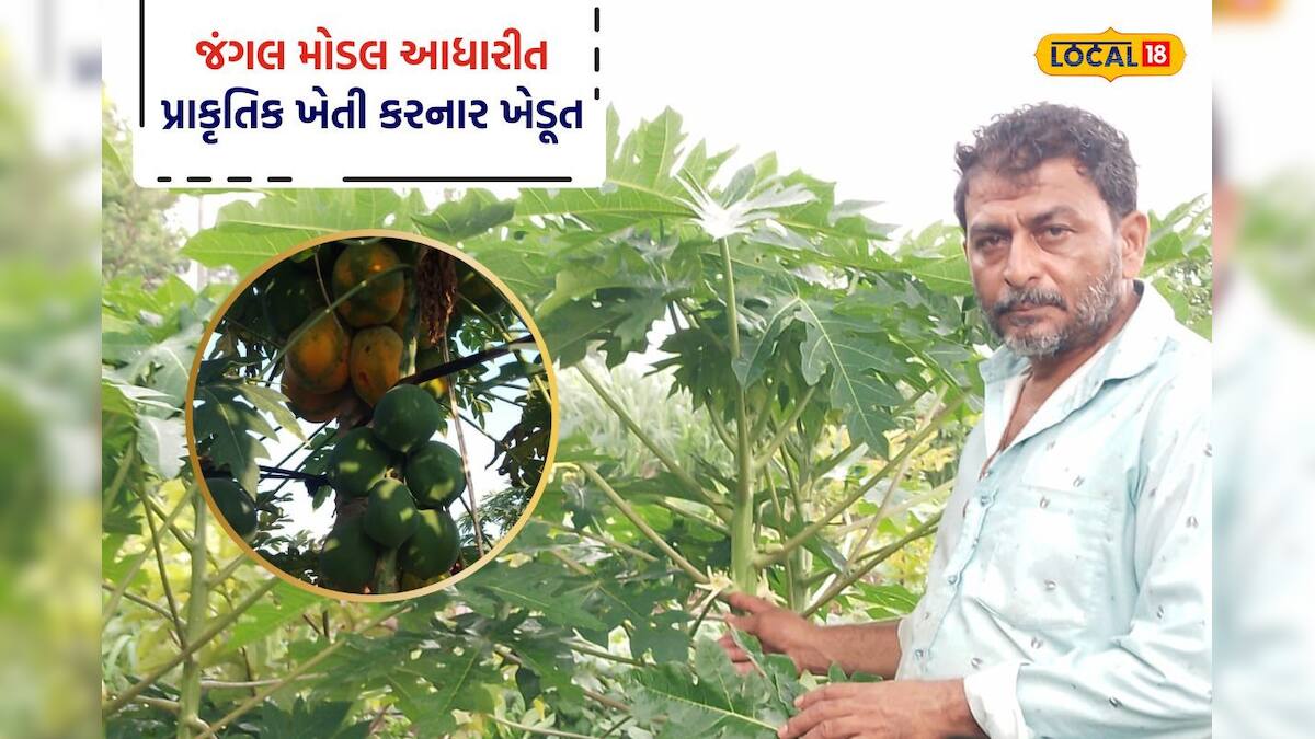 રાજકોટના આ ખેડૂતે કરી જંગલ મોડેલ આધારિત પ્રાકૃતિક ખેતી, દર વર્ષે થાય છે ...