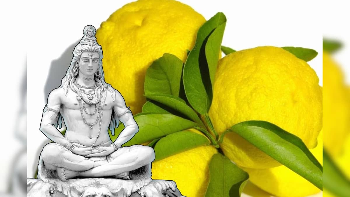 આ ફળ ચઢાવવાથી મહાદેવ પૂરી કરશે તમારી તમામ મનોકામના, પરીવારમાં આવશે સુખ ...