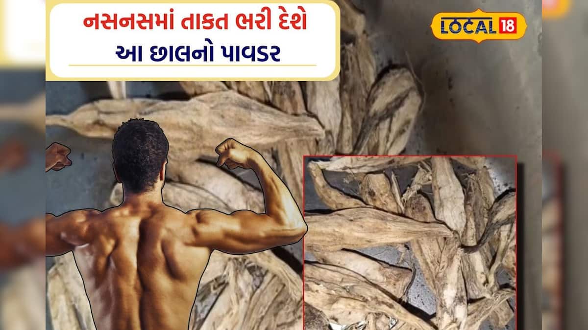 શરીરની નસોમાં તાકાત ભરી દેશે આ પાવડર, ત્વચાને બનાવશે ચમકદાર, આ રીતે ...