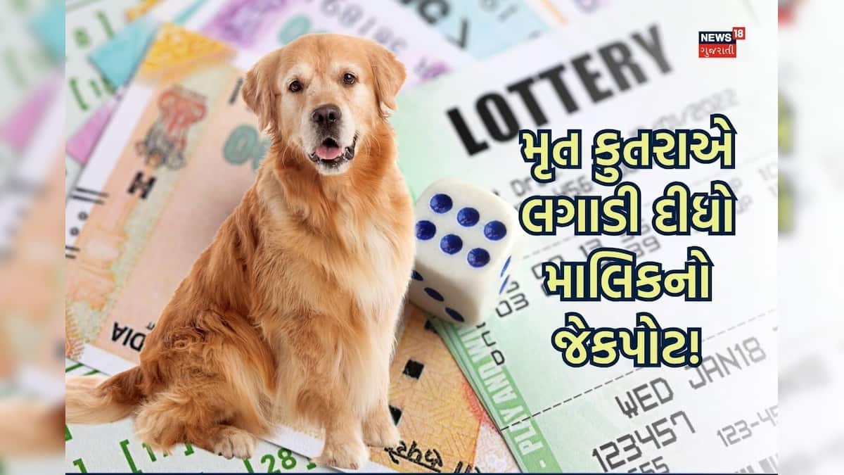 Man wins 42 lakh rupees in lottery thanks to his late dog - મૃત કુતરાની ...