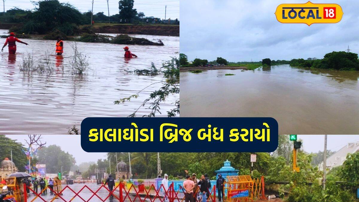 વડોદરાના માથે ફરી પૂરનું સંકટ, વિશ્વામિત્રી નદીએ ભયજનક સપાટી વટાવી ...