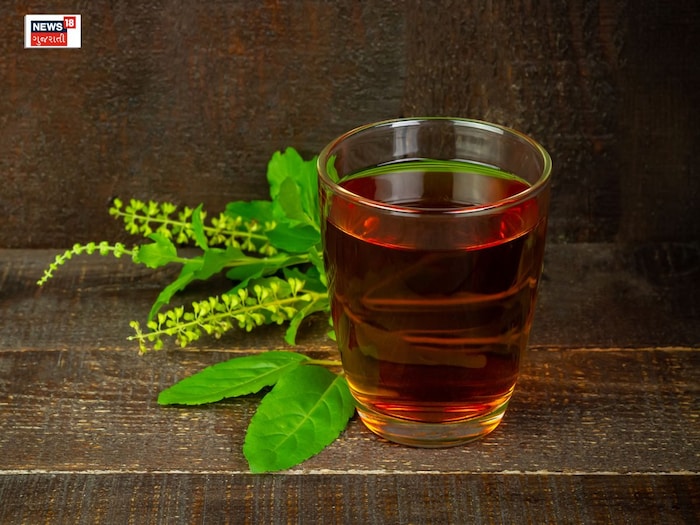 Health benefits of eating tulsi leaves in the morning - ઘરમાં તુલસીનો ...