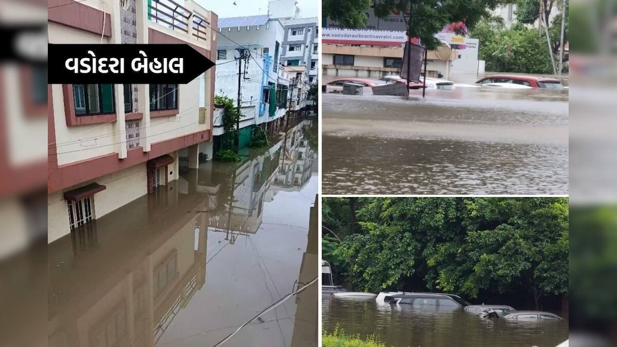 વડોદરામાં વિશ્વામિત્રી નદીના પાણી ફરી વળતાં ભારે તારાજી - Heavy ...