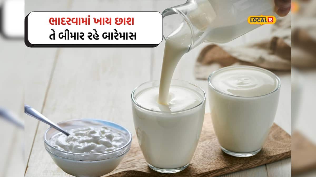 ભાદરવામાં છાશ કે ખાટી વસ્તુ ખાતા હોય તો ચેતી જાજો, ઘરે આવશે બીમારીનો ...