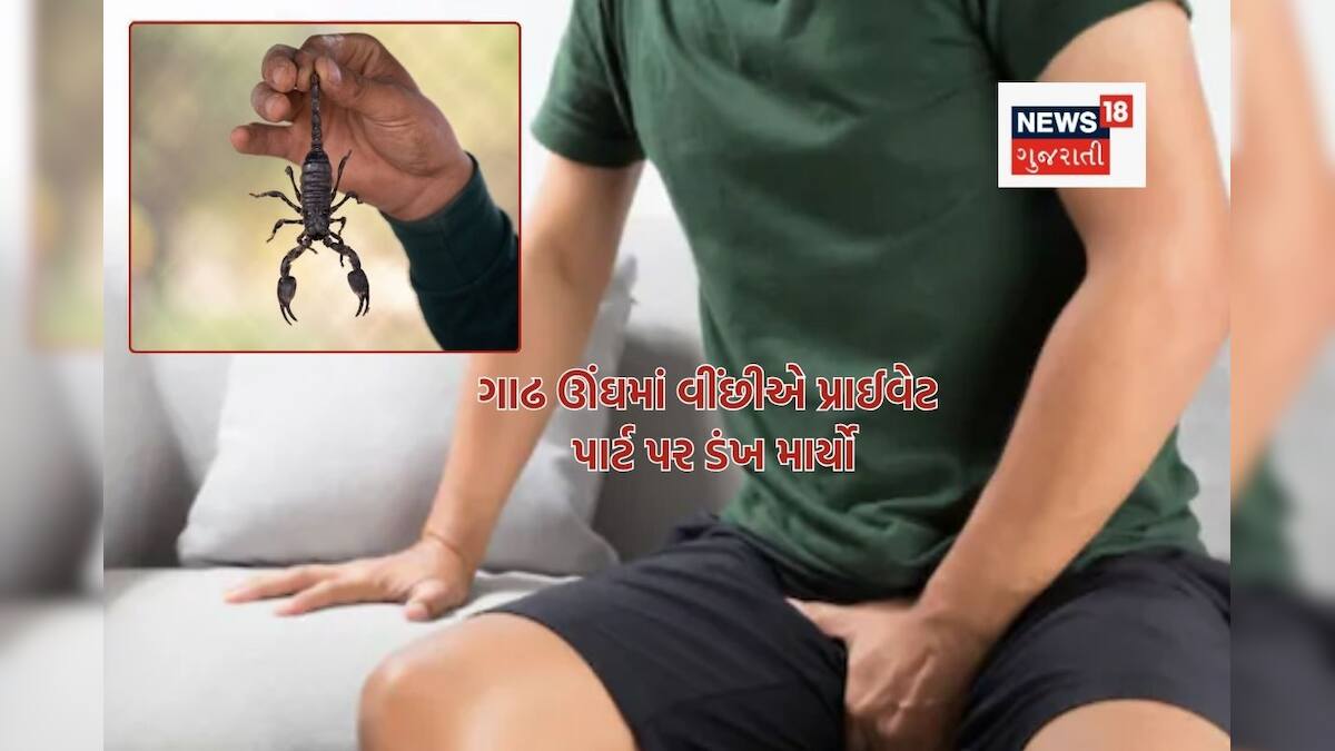 શખ્સના પ્રાઈવેટ પાર્ટ પર વીંછીએ ડંખ માર્યો, પત્નીએ કહ્યું - લગ્ન જીવન ...