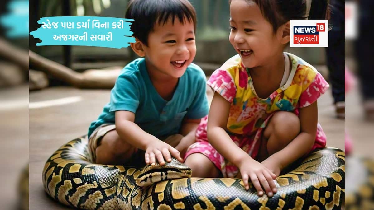 VIDEO: બાળકોએ 'એનાકોન્ડા' સાથે કરી ધીંગામસ્તી, કૂદી-કૂદીને કરી સવારી! - kids playing and riding ...