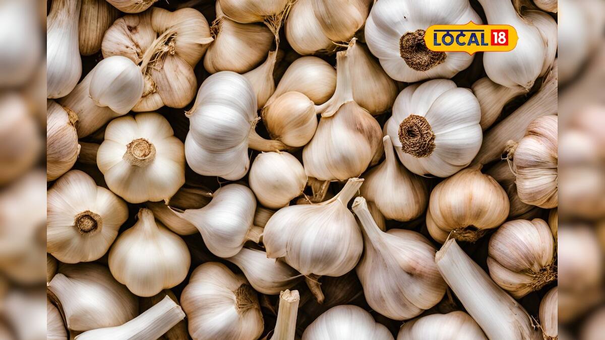 કાજુ કરતાં પણ મોંઘું થયું લસણ, સામાન્ય લોકોના ઘરમાંથી લસણ ગાયબ! - Today ...