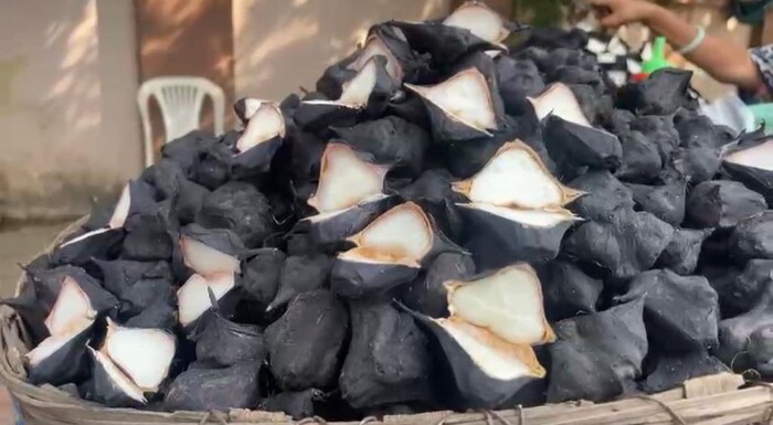 શિયાળામાં મળતું આ ફળ સ્વાસ્થ્ય માટે અતિ ગુણકારી, જાણો તેના અન્ય ફાયદા ...