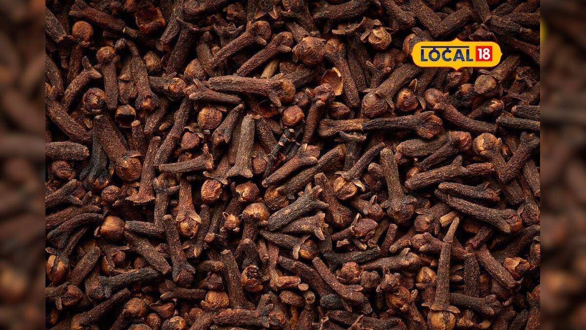 આ મસાલો છે ઔષધીય ગુણોનો ખજાનો, શરદી-ઉધરસમાં આપે છે રાહત - Small in Size ...