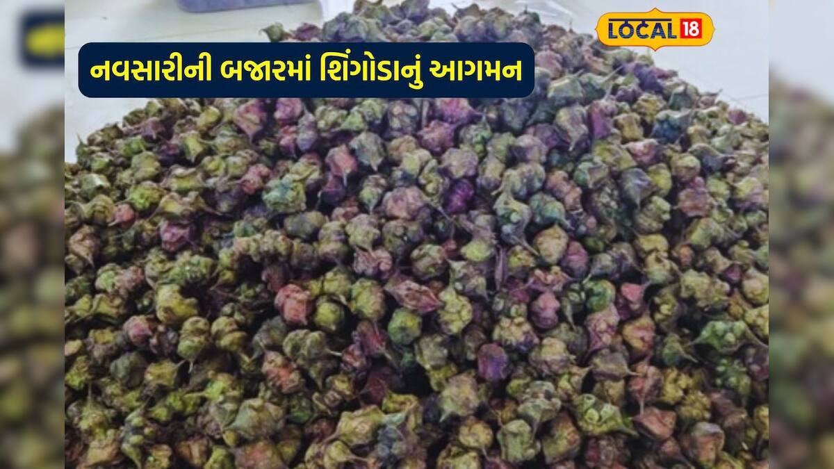 શિયાળામાં મળતું આ ફળ સ્વાસ્થ્ય માટે અતિ ગુણકારી, જાણો તેના અન્ય ફાયદા ...