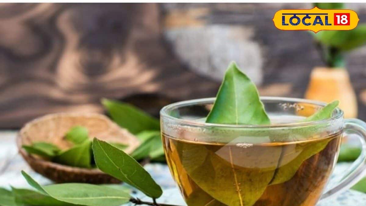 ડાયાબિટીસ-કોલેસ્ટ્રોલને કંટ્રોલ કરશે આ પાનની ચા, જાણો તેને બનાવવાની રીત - tej patta tea recipe ...