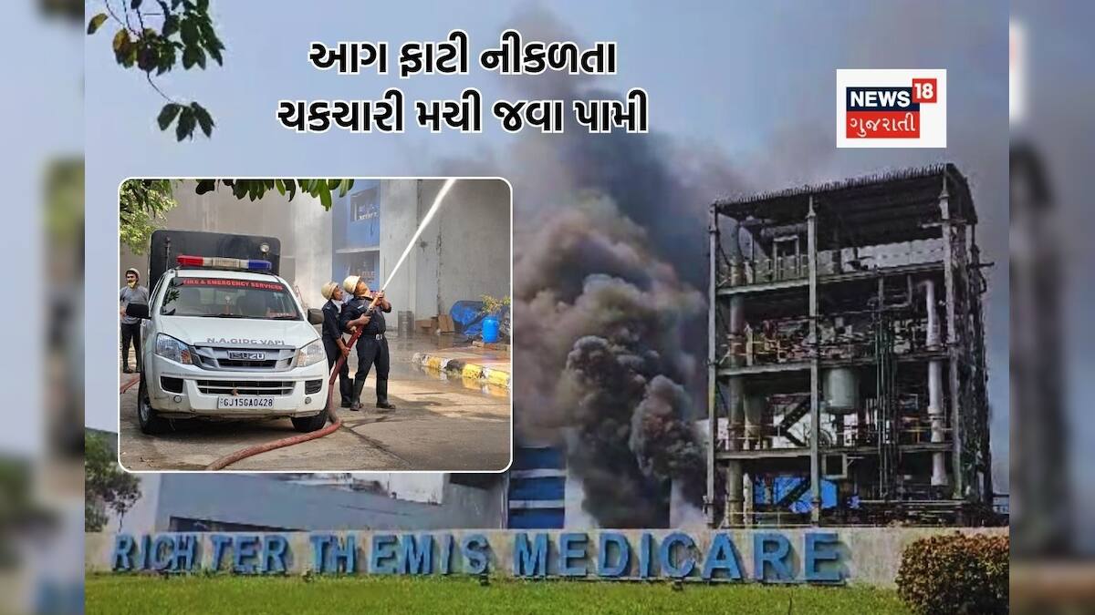 વાપી: ફાર્મા કંપનીમાં ભીષણ આગ ફાટી નીકળતાં અફરાતફરીનો માહોલ - Vapi fire broke out Themis Pharma ...