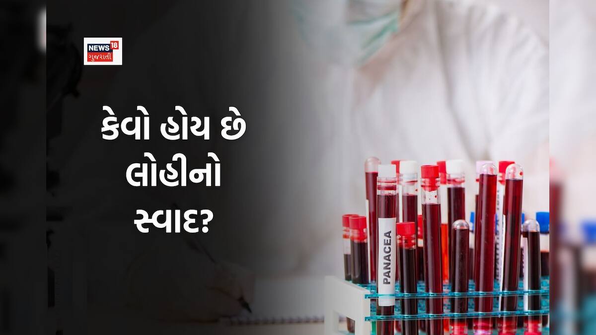 GK: કેવો હોય છે માણસના લોહીનો સ્વાદ અને તેનું કારણ શું છે? - general ...