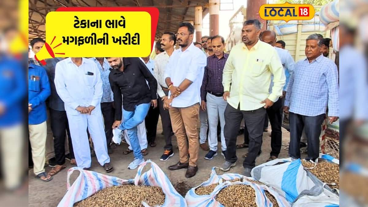 ખેડૂતો માટે ખુશખબર: યાર્ડમાં મગફળીના પાકના હવે આનાથી નીચે ભાવ નહીં મળે ...