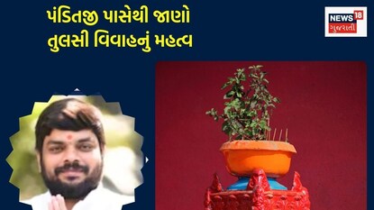 Tulsi vivah 2024 date, puja and muhurat - તુલસી વિવાહ ક્યારે છે ...