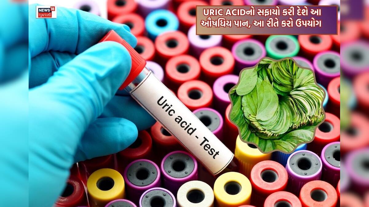 How to Use Betel Leaf for Uric Acid - લોહીમાં રહેલા યુરિક એસિડનો સફાયો ...