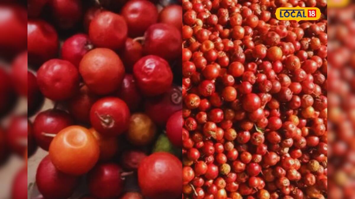 ચણીયા બોરથી પશુનું દૂધ વધે - Chaniya Bor increase the milk of animals ...