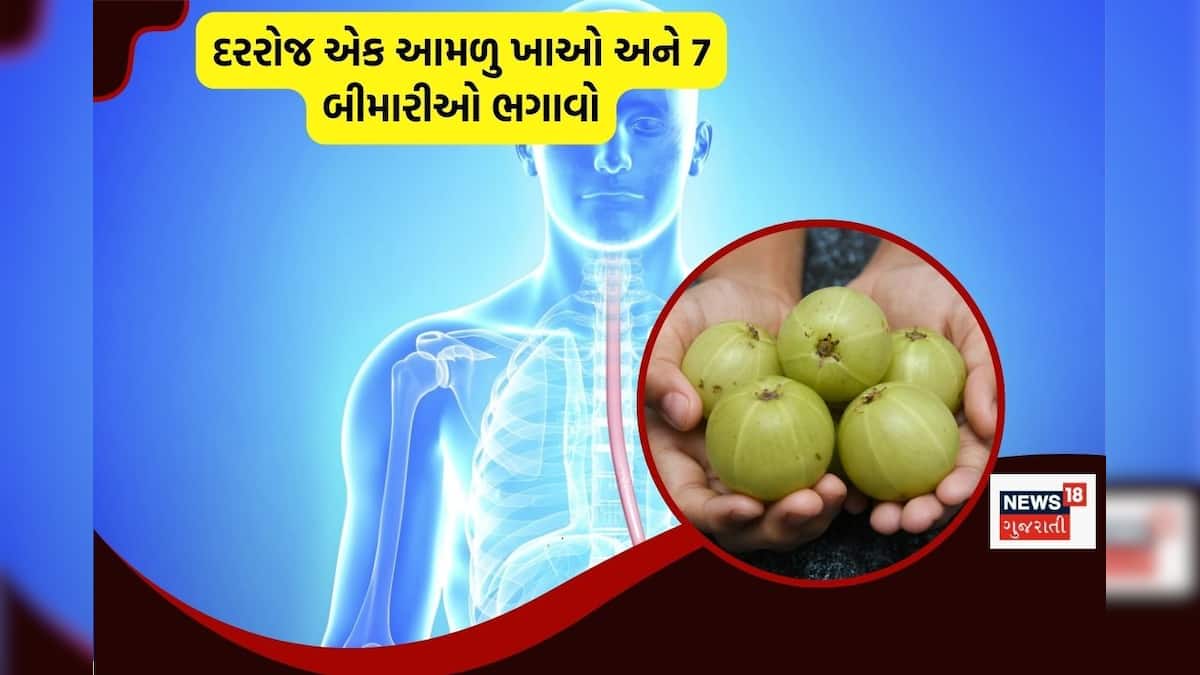 Why you should eat amla every day in winter season - દરરોજ 1 આમળુ ...