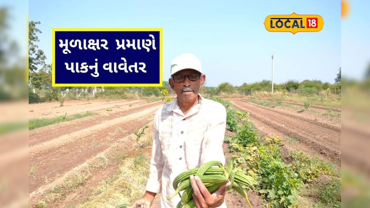 નિવૃત શિક્ષકે ખેતીમાં દેશી પદ્ધતિ અપનાવી - Retired teacher adopts desi methods in farming ...