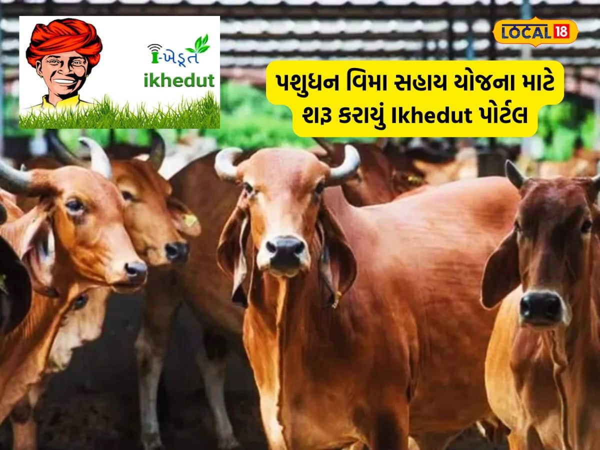 એક મહિના માટે ખુલ્લુ મૂકાયું Ikhedut પોર્ટલ, પશુપાલકો આ યોજનાનો લઈ લેજો ...