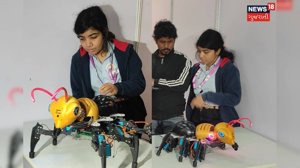 કીડી જેવા દેખાતા આ રોબોટની ખાસિયત જાણી નવાઈ પામી જશો, નેવિગેશન આધારિત ...