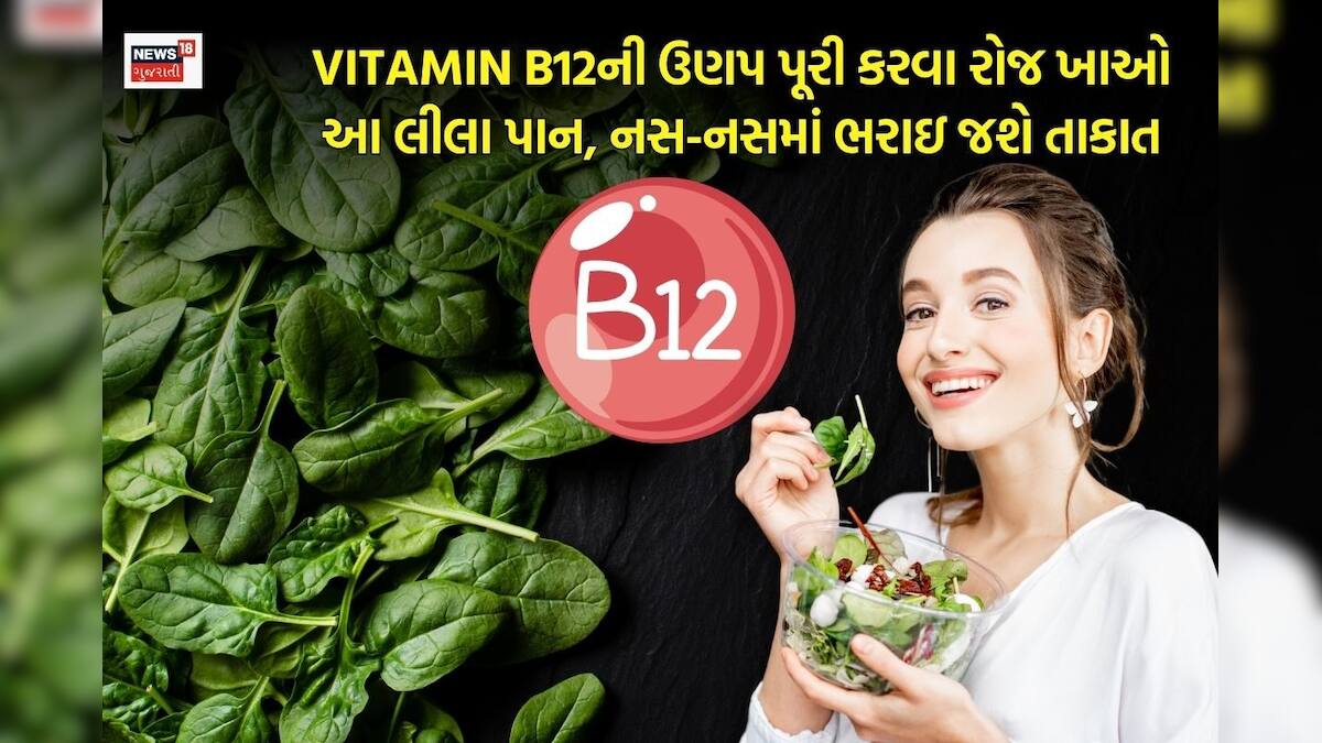 veg foods which full of vitamin b 12 - Vitamin B12ની ઉણપ પૂરી કરે છે 10 રૂપિયામાં મળતા આ લીલા ...
