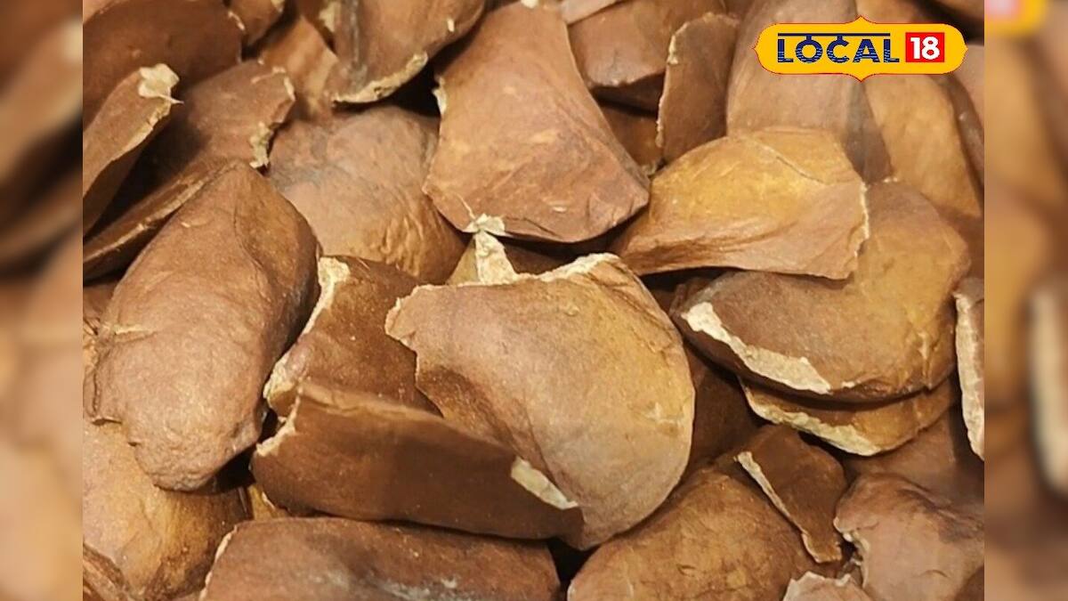 Sugar Badam Bitter in Taste but Amazing Health Benefits Consume with ...