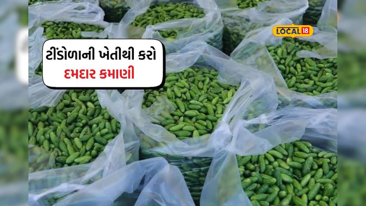 ઉનાળામાં કરો આ શાકભાજીની ખેતી, ઓછી મહેનતે મળશે વધુ નફો અને સારું ...
