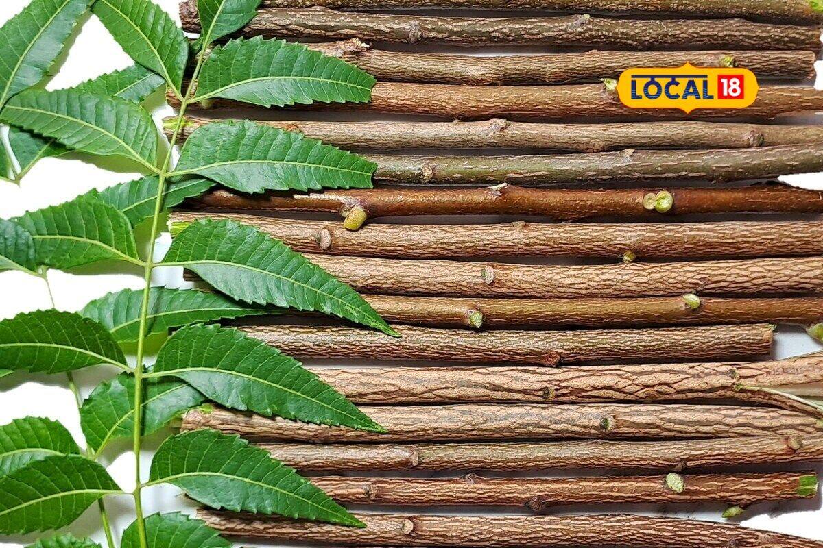 આ દેશી બ્રશથી દાંત બનશે બુલેટપ્રૂફ! મોઢામાંથી આવતી દુર્ગંધ પણ થશે દૂર ...